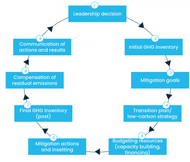 Building a future-proof climate action strategy in the new landscape ...