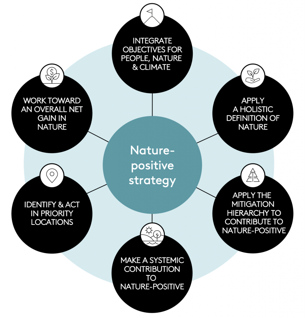 Road beyond net zero: Corporate actions to overturn nature loss - Callirius